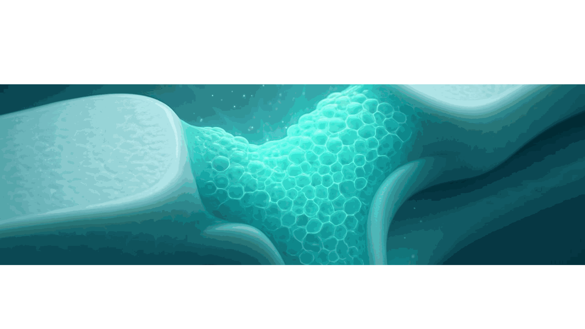 Research and Development