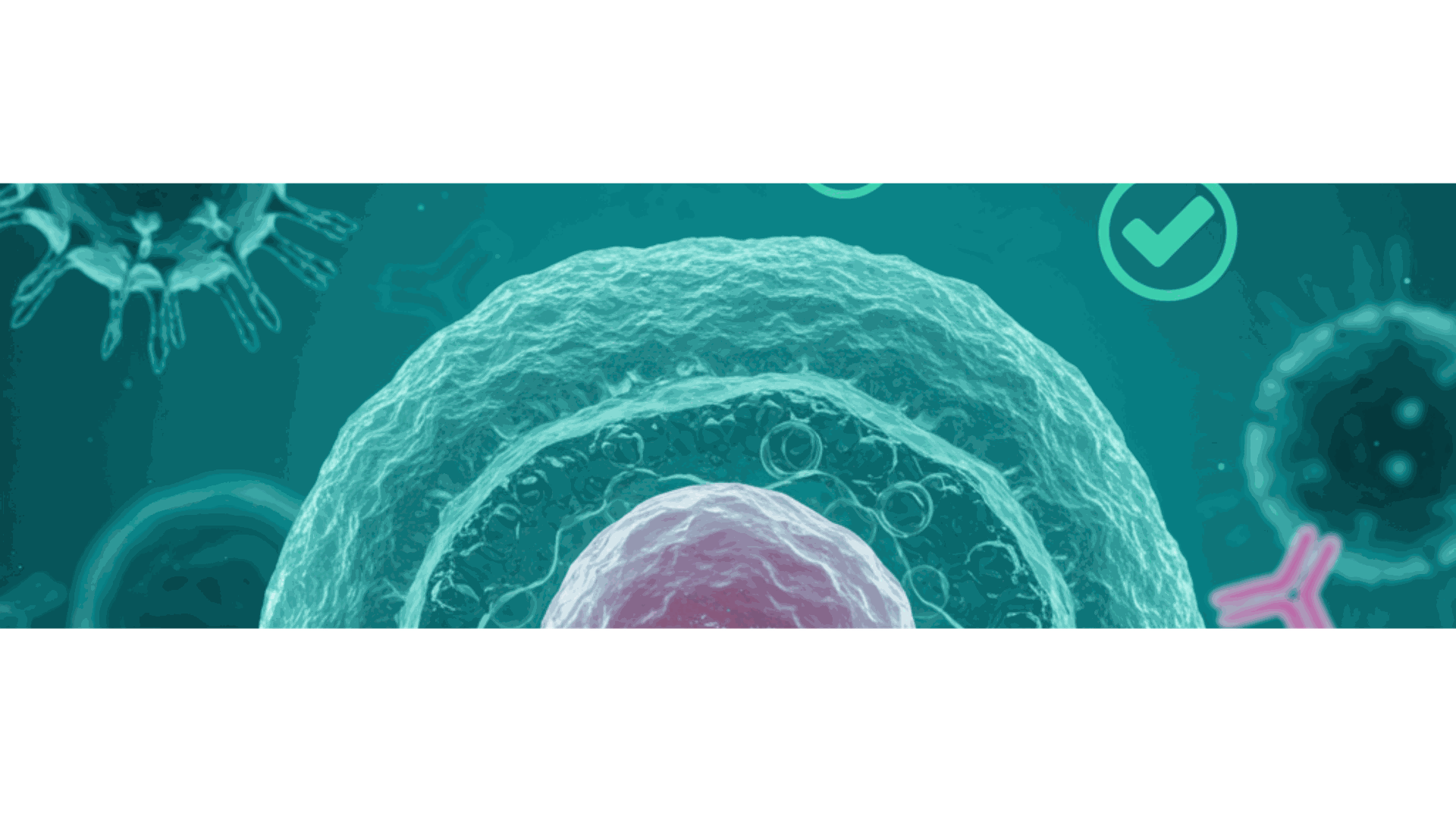 Research and Development